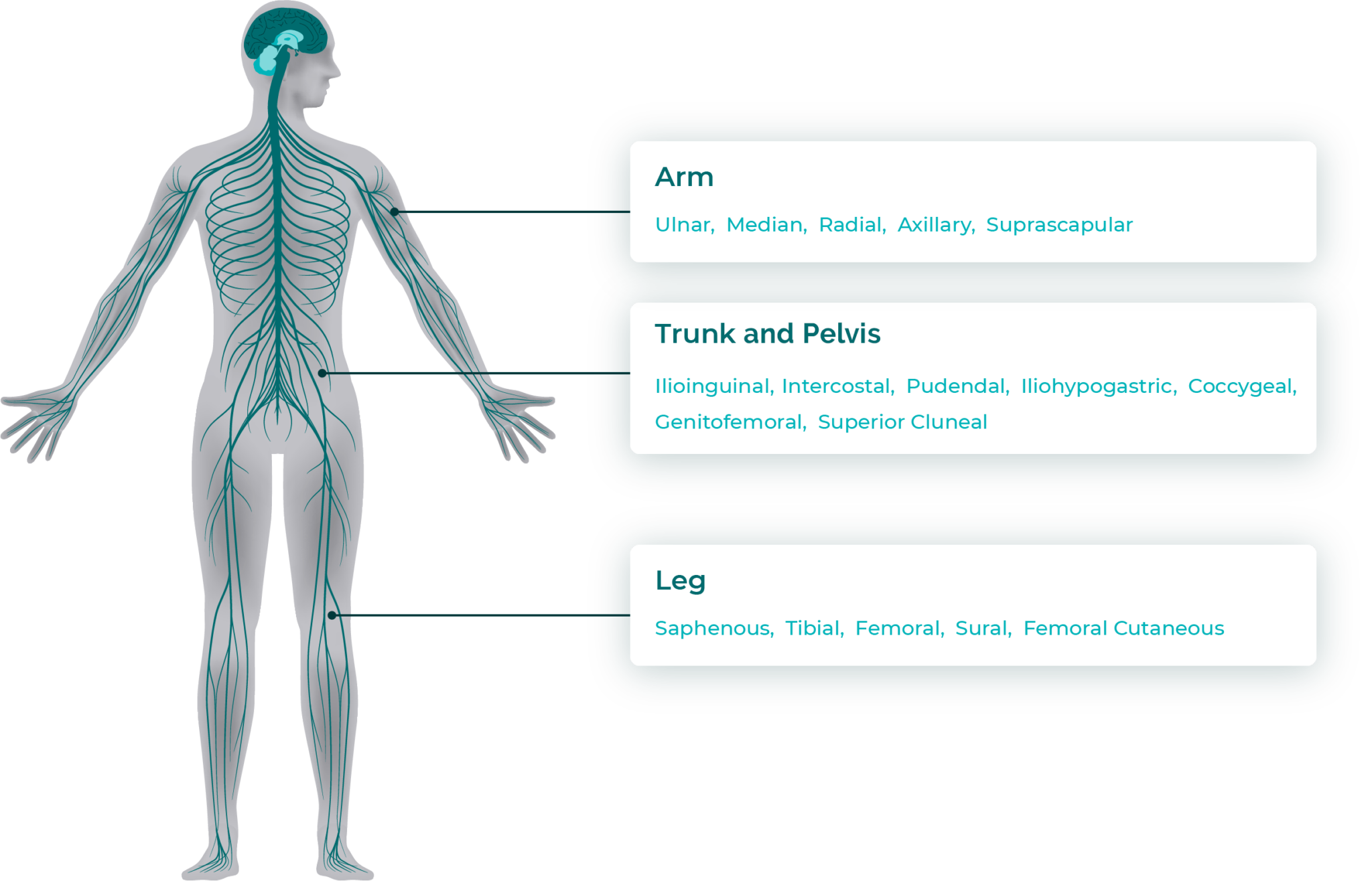 Procedure – StimRouter
